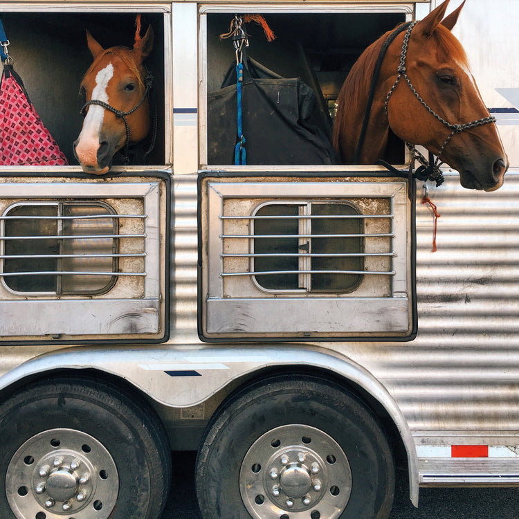 Horse Transport – Rusty Spur Saddle Shop