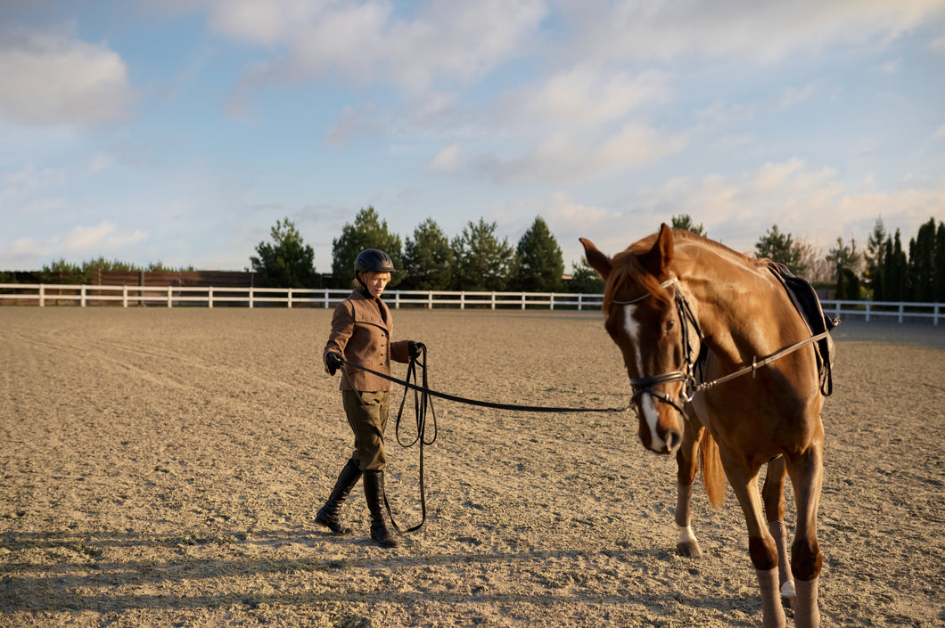 Equine Training – Rusty Spur Saddle Shop